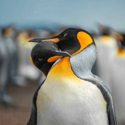 AI Image Splitter - Split Images Online for Free