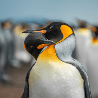 Free Online Image Splitter & Instagram Grid Maker