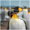 AI Image Splitter - Split Images Online for Free